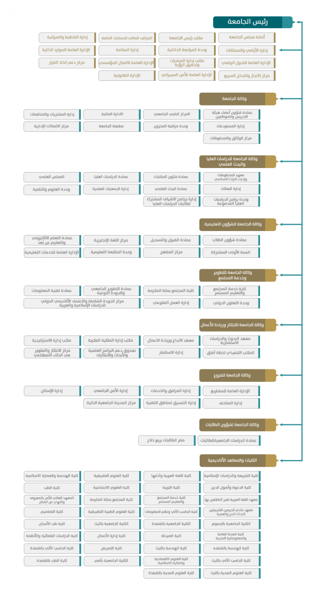 UQU Organizational Structure | Umm Al-Qura University